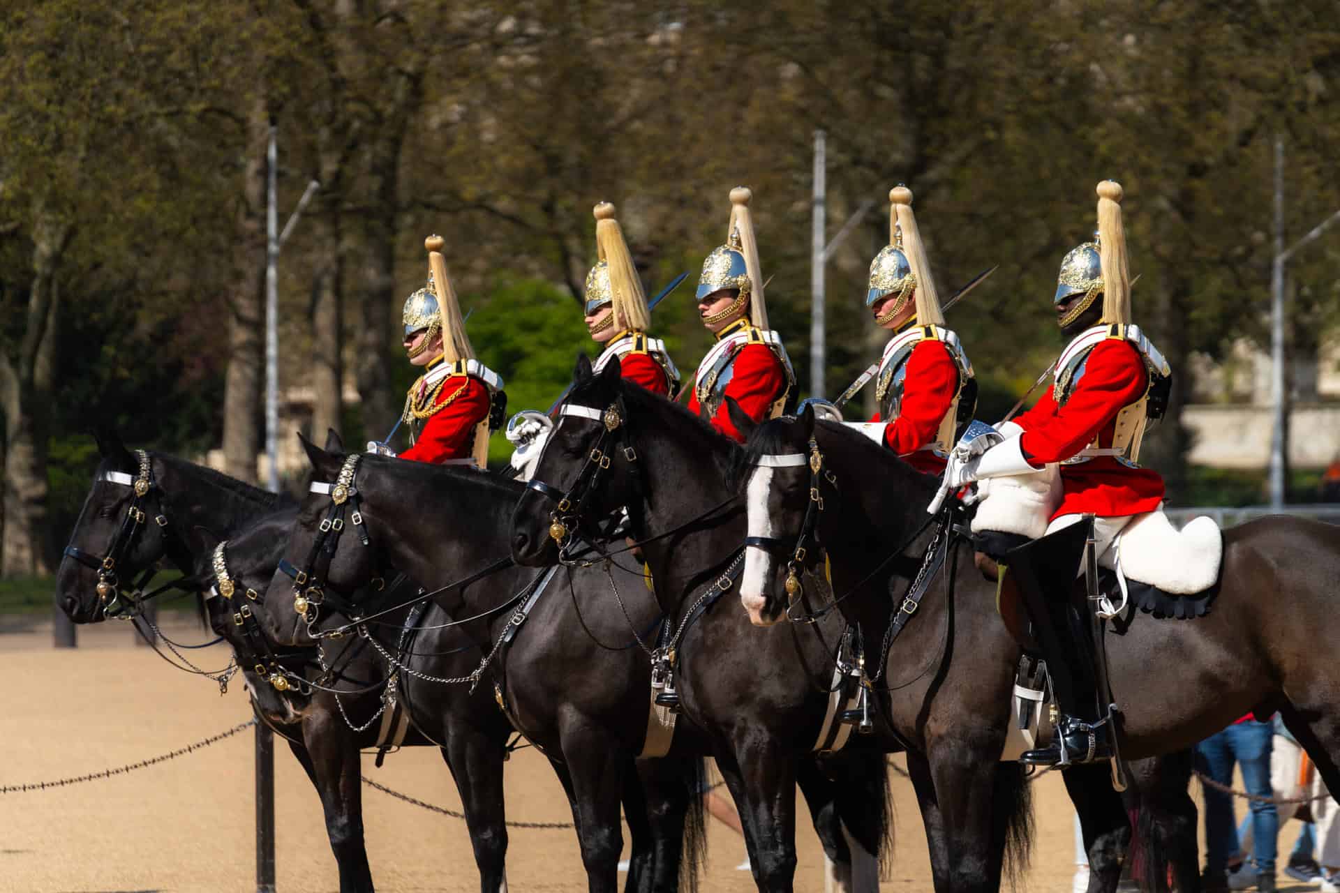 Top 10 facts about the Horses of the Household Cavalry